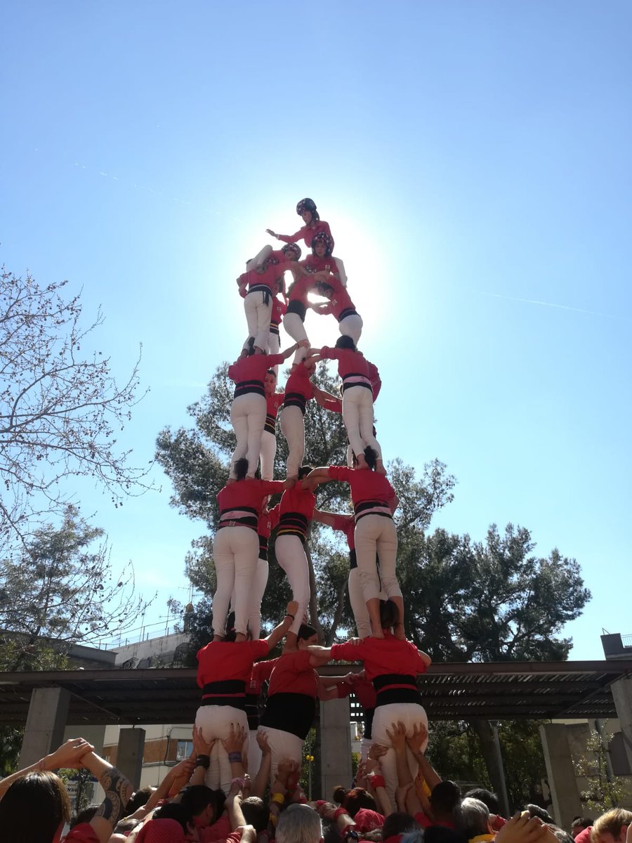 Human towers reach new heights with seven-story all-women construction