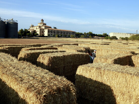 Straw maze built by teens hopes to attract visitors to small town